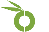 Über uns - Unsere Geschichte und Vision - pandoo